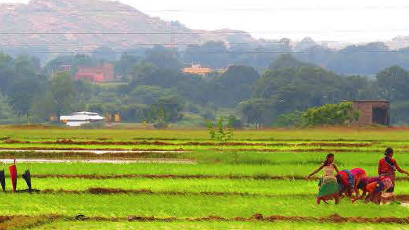 State Partnership Projects – Bharat Rural Livelihoods Foundation